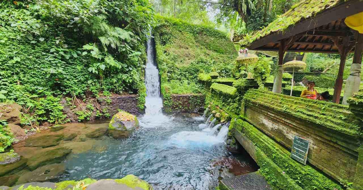 Ubud Healing Journey Experience - All Inclusive | GetYourGuide