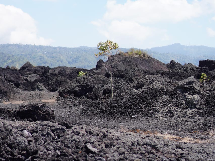 Mount Batur: Abenteuerliche schwarze Lava-Tour mit VW Thing | GetYourGuide