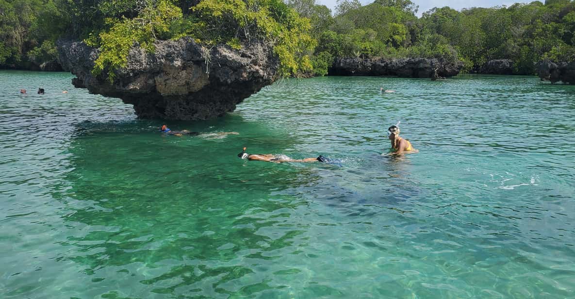 Safari Blue-tour | GetYourGuide