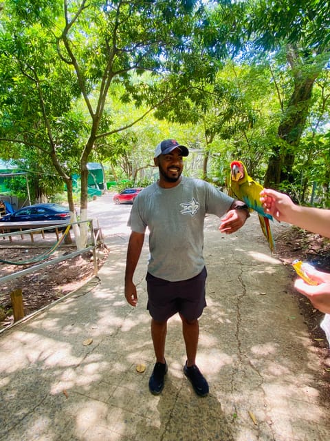 Roatan Snorkeling + Sloths | GetYourGuide