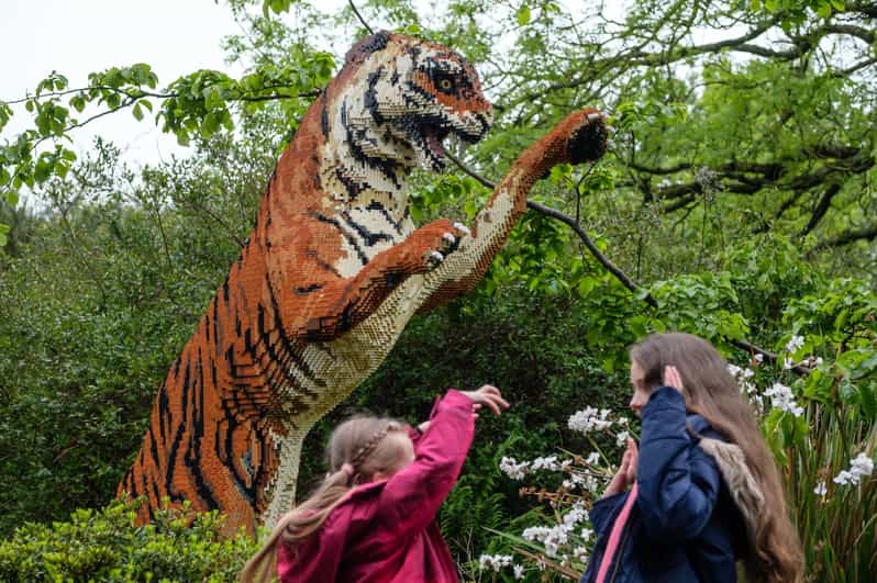 Edinburgh Zoo Entrance Ticket | GetYourGuide