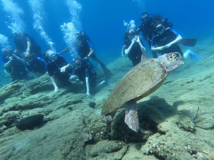 Heraklion: Beginner's SSI Basic Diver Program w/2 Dives | GetYourGuide