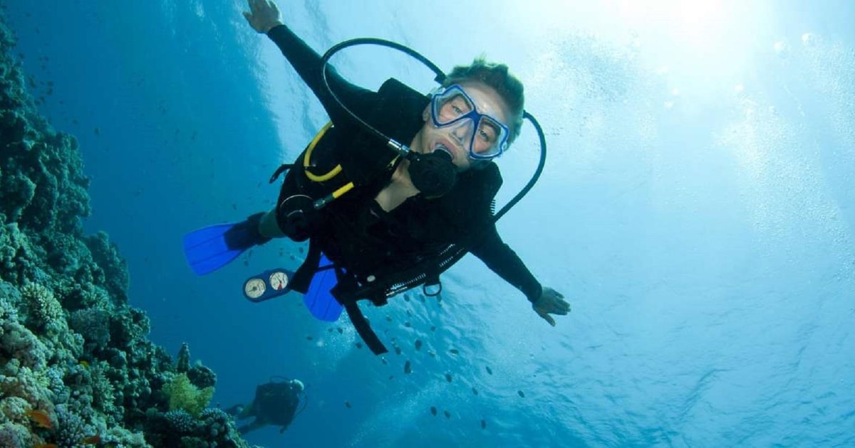 Diving Tour Exploring Alexandria's Underwater Secrets | GetYourGuide