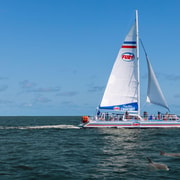 St. Augustine: Dolphin Watching Harbor Tour with Drinks - 2026 ...