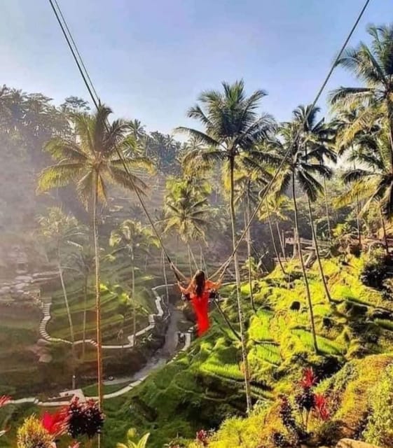 Highlight Ubud Waterfalls and Tegalalang Rice Terrace | GetYourGuide