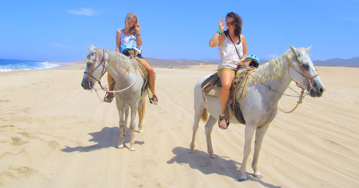 ATV Automatic 4X4 és lovaglás Cabóban a Cactus Tours által | GetYourGuide