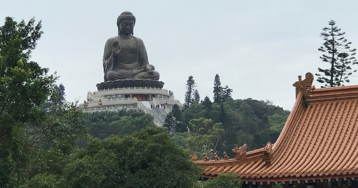 Hongkong: Lantau, NP360, Buddha-Tour mit Hoteltransfer | GetYourGuide