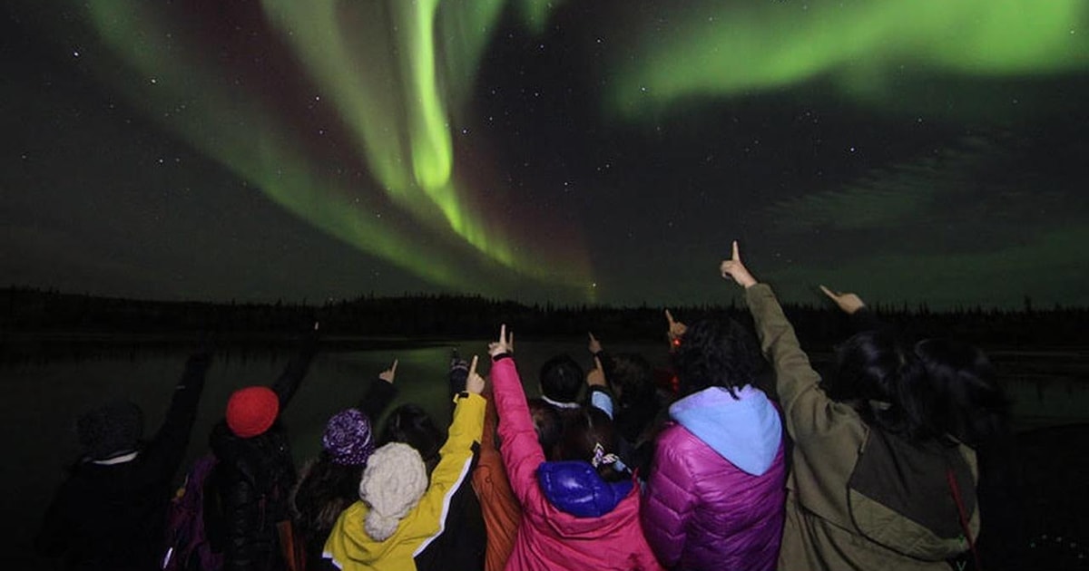 Aurora Hunting Tour | GetYourGuide