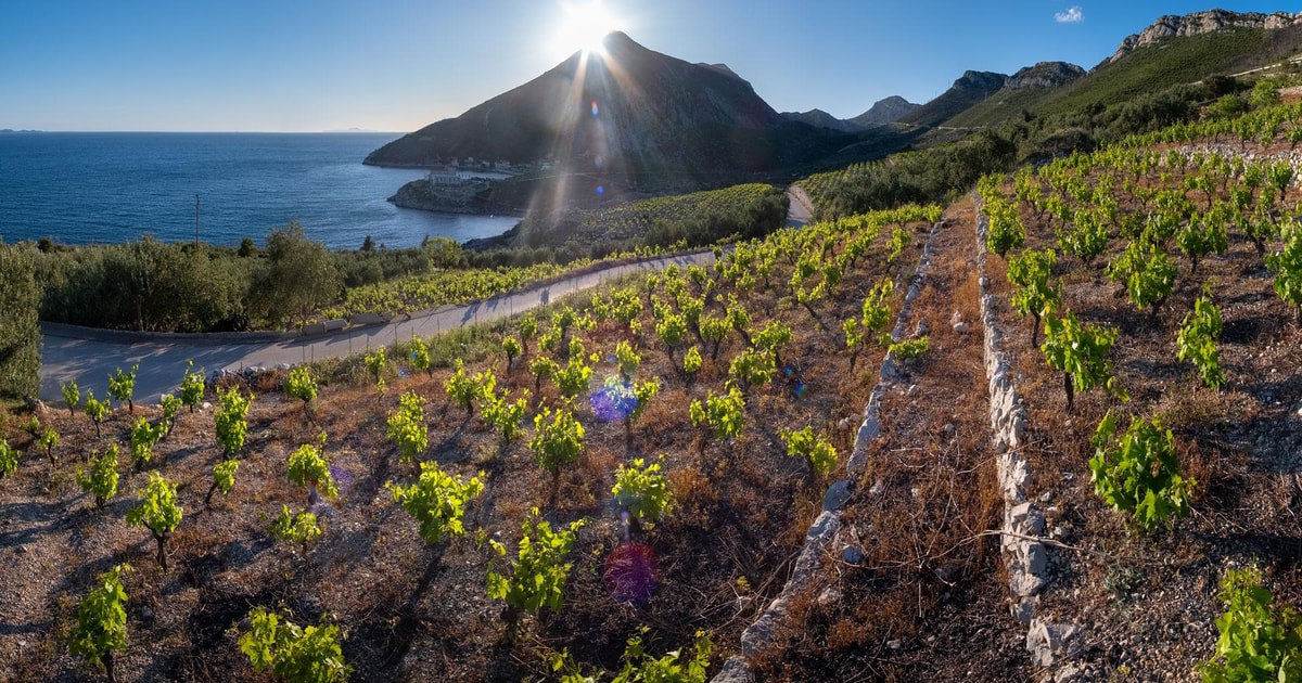 From Dubrovnik: Private Pelješac Wine Region and Ston Tour | GetYourGuide