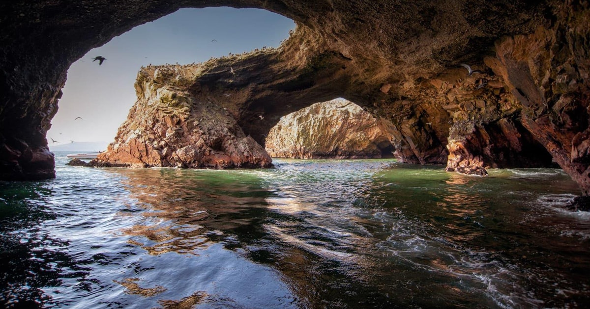 Paracas: Ballestas Islands and Paracas Reserve Tour | GetYourGuide