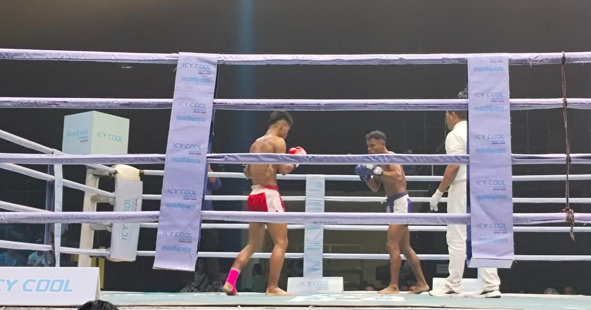 Kickboxning: Live Fight Night Tour på National Stadium | GetYourGuide