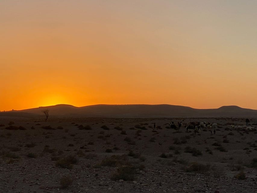 Marrakech:Sunrise Camel Ride in Agafay Desert ,With Breakfas | GetYourGuide