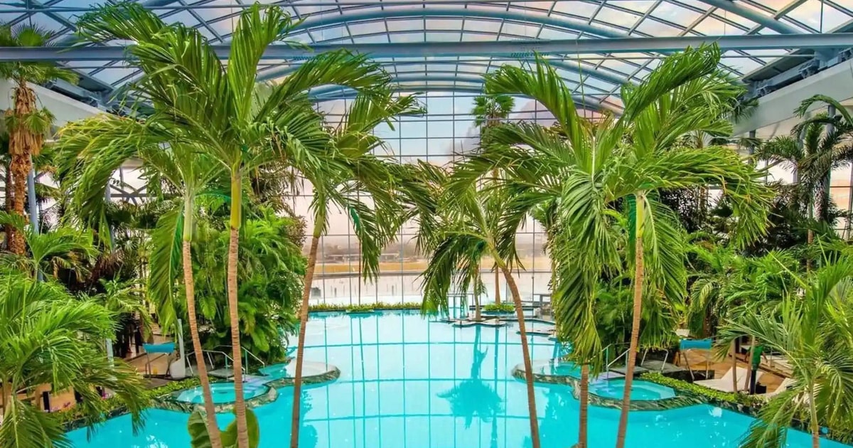 Therme Bucharest Wellness & Spa with Transfer & Entry Ticket | GetYourGuide