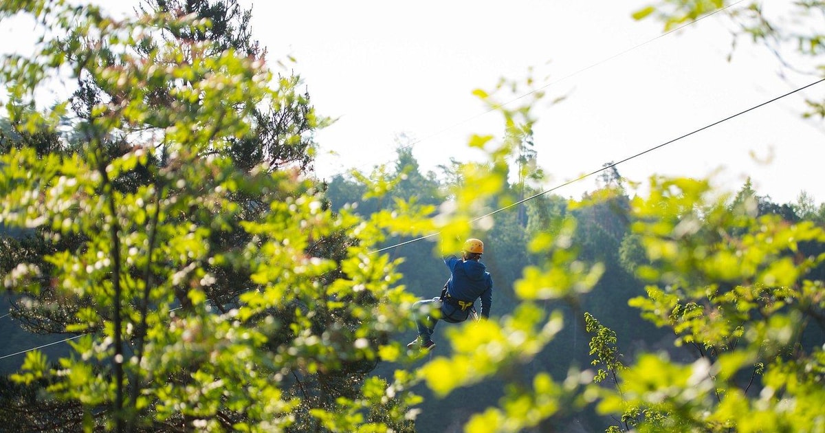 Zanzibar: Masingini Forest Zipline Adventure with Pickup | GetYourGuide