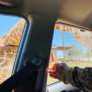 Monterrey: Aventura Safari en el Bioparque Estrella | GetYourGuide