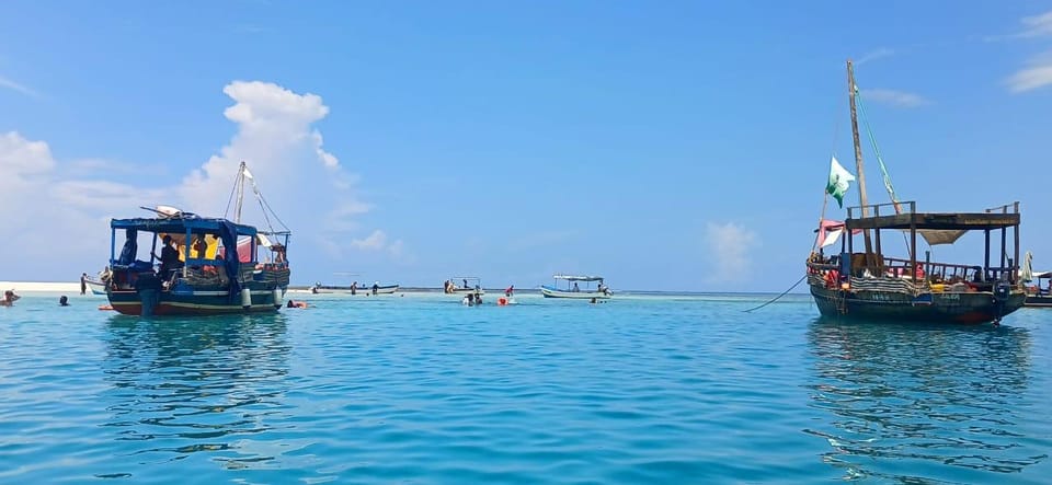 Mombasa: Wasini Dolphin Tour | GetYourGuide