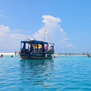 Mombasa: Wasini Dolphin Tour | GetYourGuide