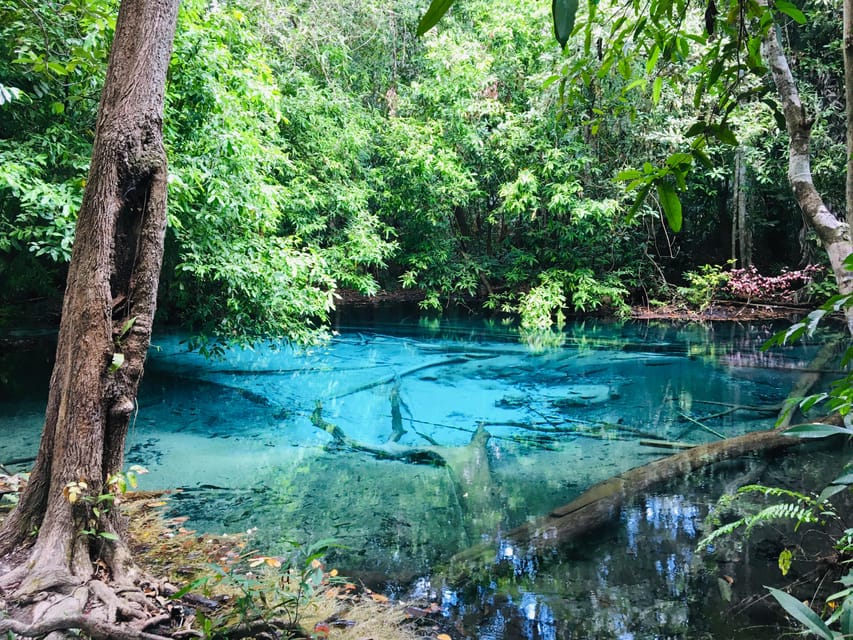 Krabi: Emerald Pool and Hot Springs Waterfall Half-Day Trip | GetYourGuide