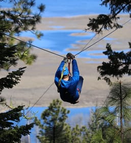 Crater Lake: Tree Canopy Zipline Adventure | GetYourGuide