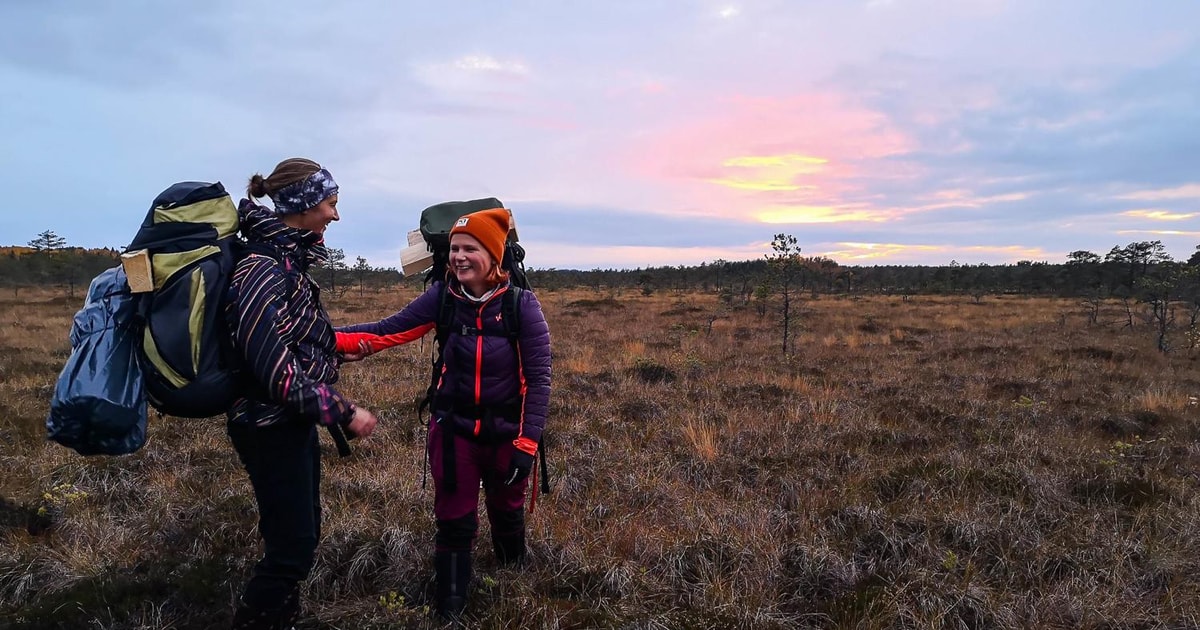 From Tallinn: Guided Bog-Shoe Hiking Tour | GetYourGuide