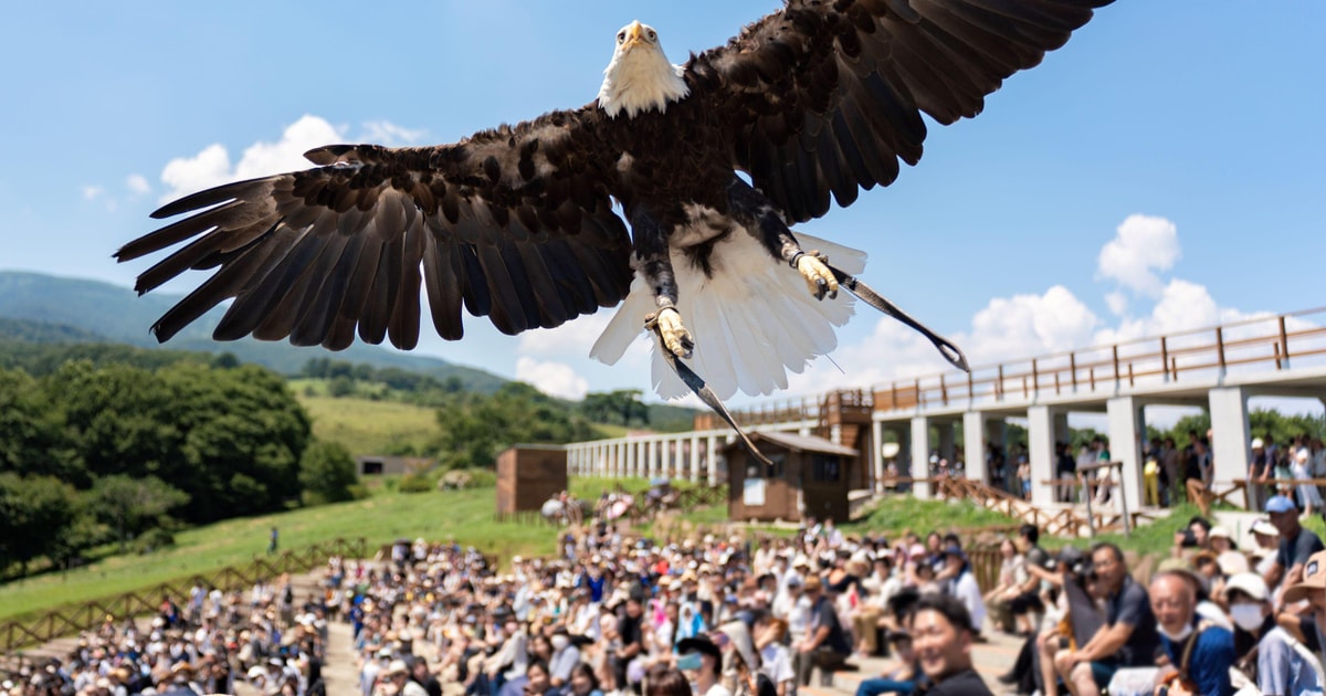 Tochigi: Nasu Animal Kingdom Entry Ticket | GetYourGuide