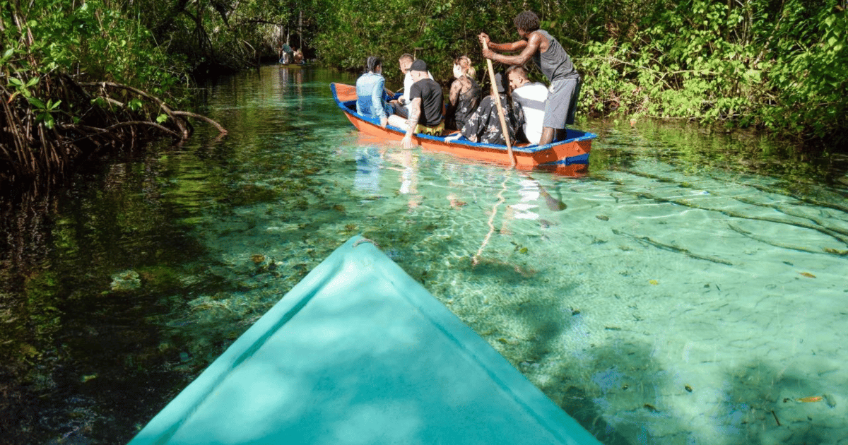 Punta Cana: Samaná Whale Watching and El Limón Day Tour | GetYourGuide