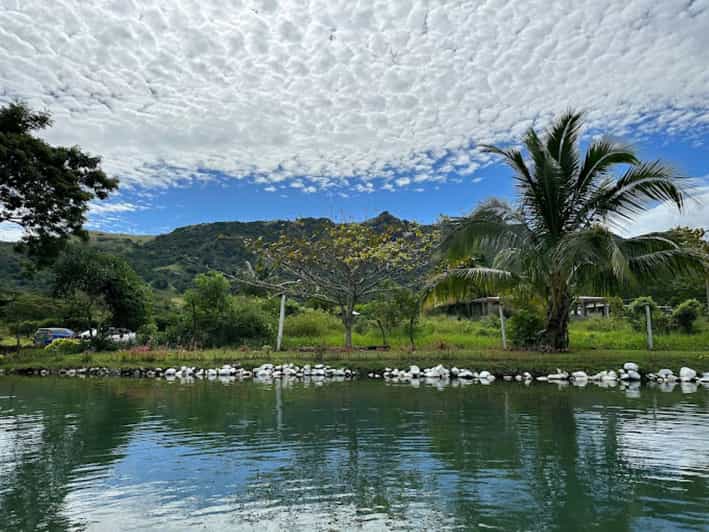 Nadi: Mud Pool and Hot Spring Private Tour | GetYourGuide