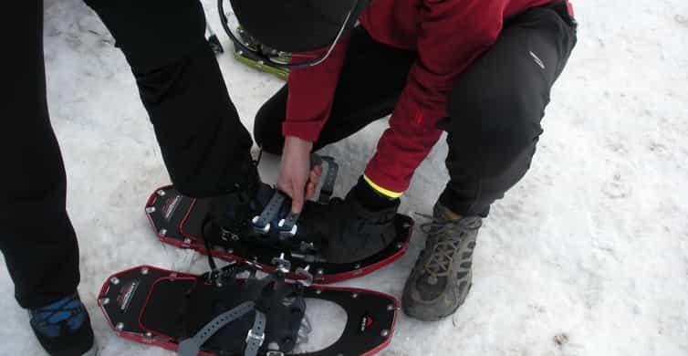 Snowshoeing Experience | GetYourGuide