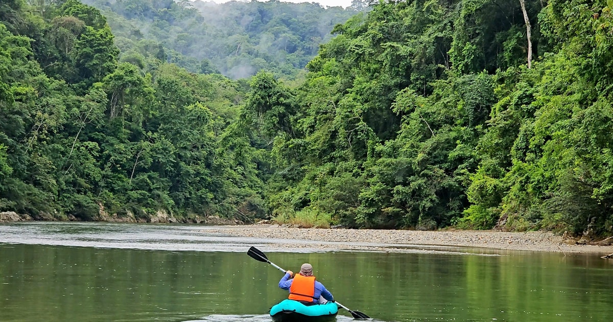 Panama : L'expérience de la forêt tropicale de Chagres | GetYourGuide
