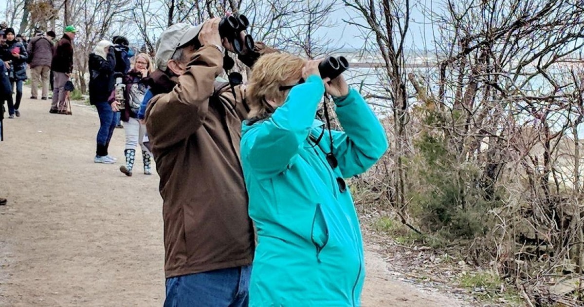 Pearlington: Devil's Swamp Eco Walking Tour | GetYourGuide