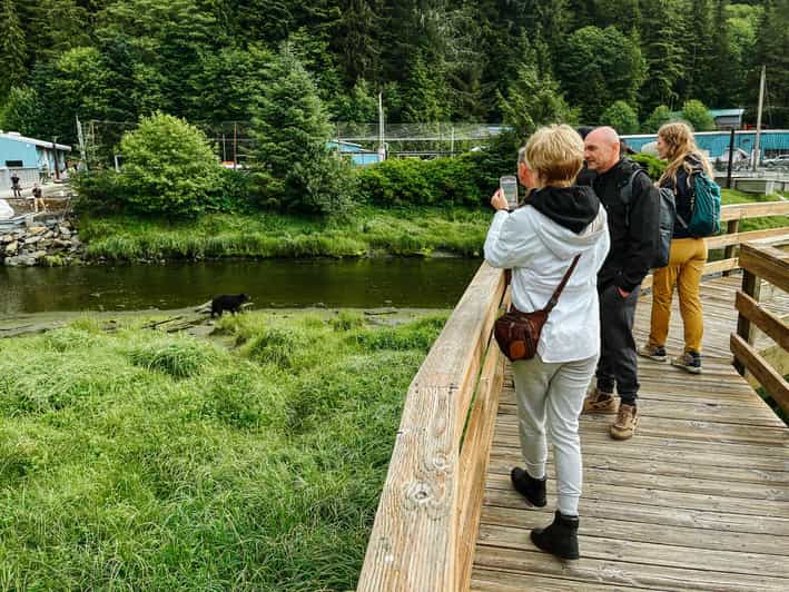 Ketchikan Santuario de la Selva Tropical de Alaska y Paseo por el ...