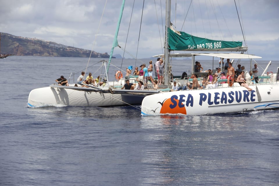 Funchal:Hop-on Hop-off Bus & Whale & Dolphin boat Excursion | GetYourGuide