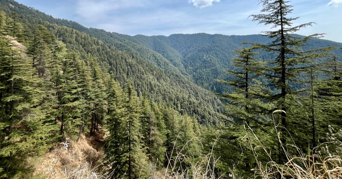 Shimla Visita guiada al Santuario de la Fauna y la Captación de Agua ...