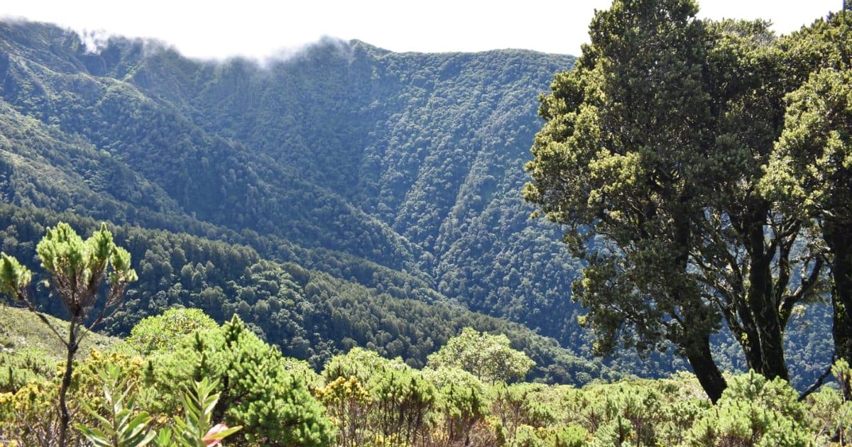 4 Day Mt Hanang' trekking | GetYourGuide