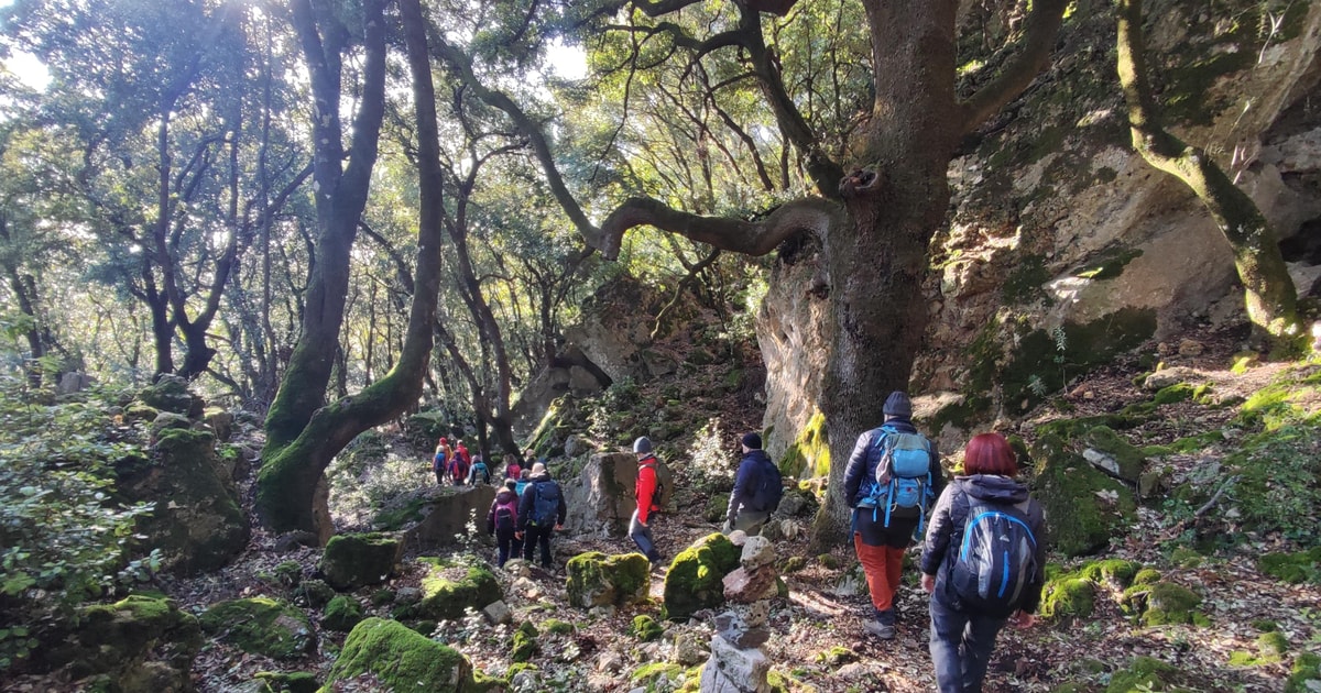 Bruncu Casteddu: hiking guided tour close Ulassai Village | GetYourGuide