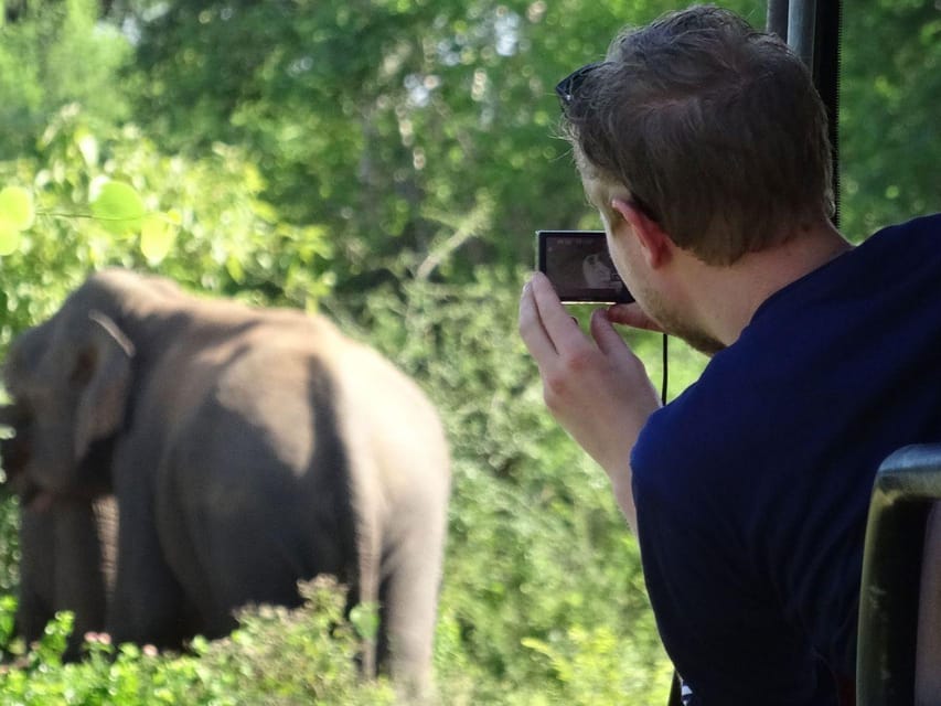 Porto de Hambantota: Safari Privado Yala Leopard | GetYourGuide