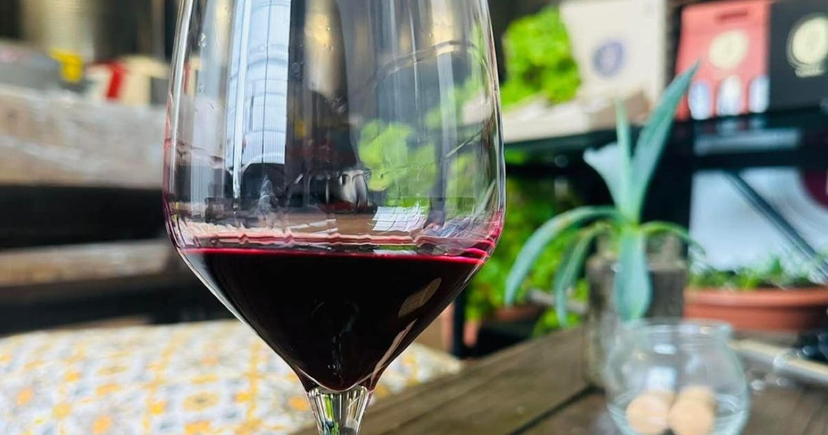 Savuto: Tour of the vineyards and visit to the winery with tastings ...