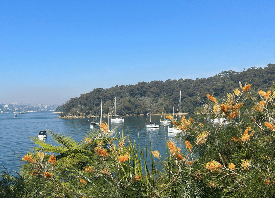De la Bondi la Manly: 4 zile de la un capăt la altul al aventurii de ...