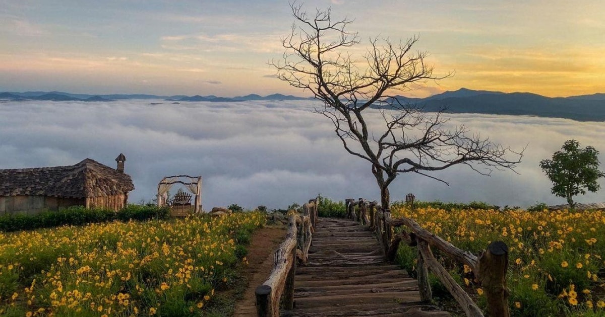 Da Lat: Caça às nuvens em Cau Dat Panorama Sunrise Tour | GetYourGuide