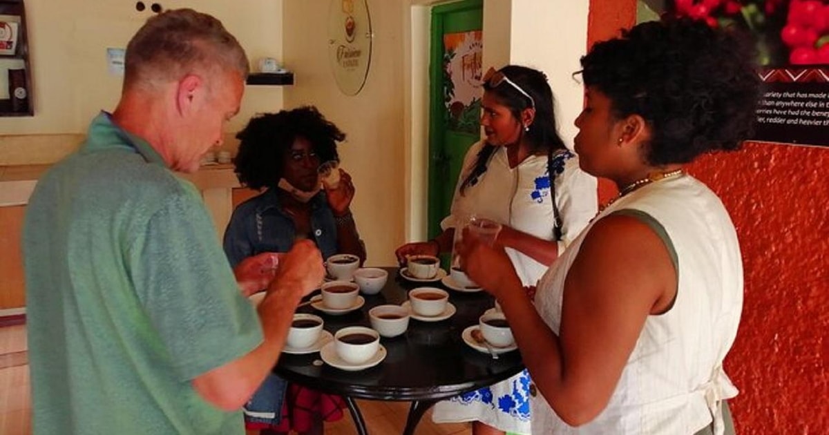 Nairobi: Coffee Factory and Farm Tour | GetYourGuide