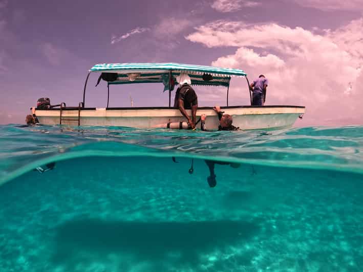 Zanzibar : Snorkeling to tumbatu - Private Boat | GetYourGuide