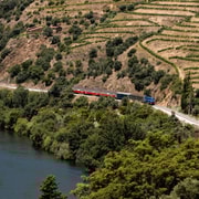 Porto: Douro Valley Full-Day Boat, Train, and Lunch Tour | GetYourGuide