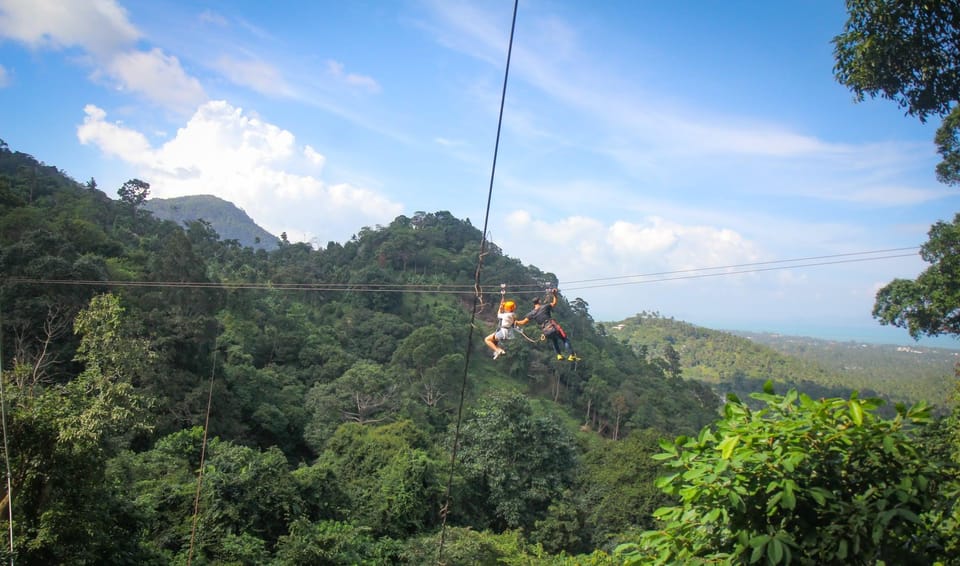From Koh Samui: Tree Bridge Zipline and Café Experience | GetYourGuide