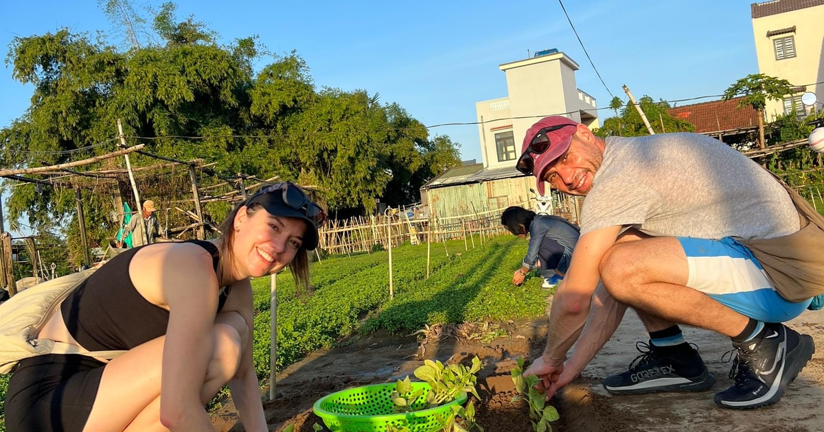 Vegetarian Cooking Class & Countryside Bike Tour in Hoi An | GetYourGuide