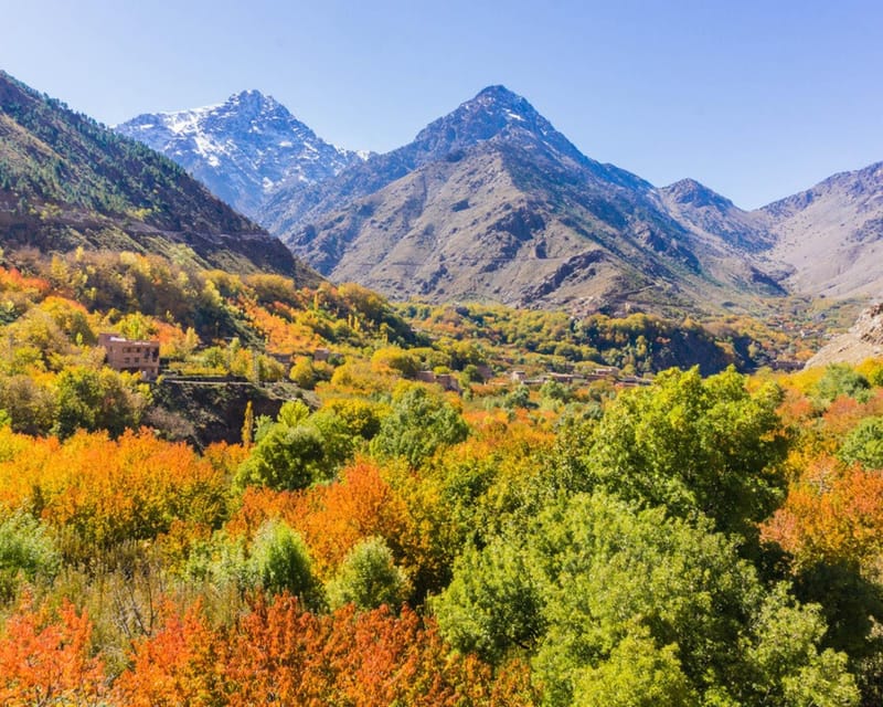 montañas del atlas y desierto de agfay, excursión de un día con paseo ...