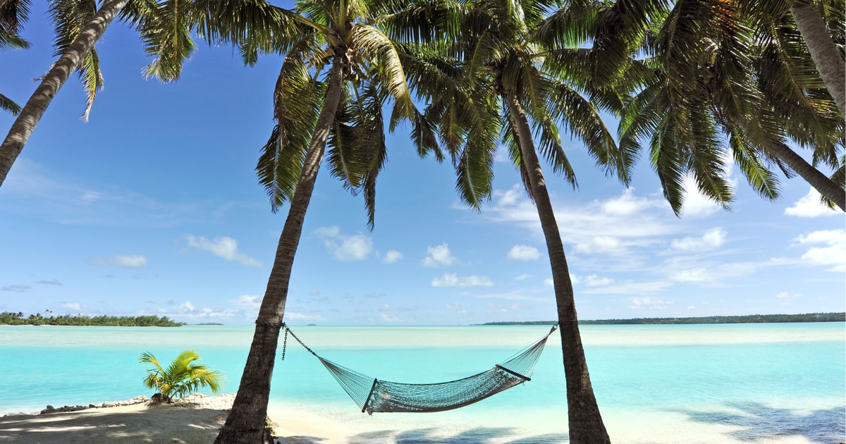 Isla Catalina Aun mas virgen que Saona | GetYourGuide
