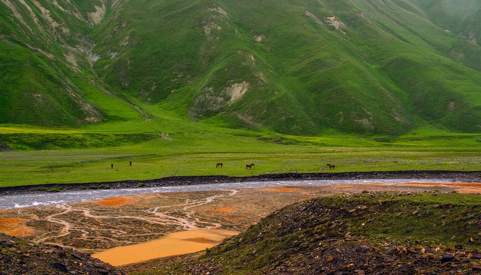 Horse riding adventure in Truso Valley | GetYourGuide