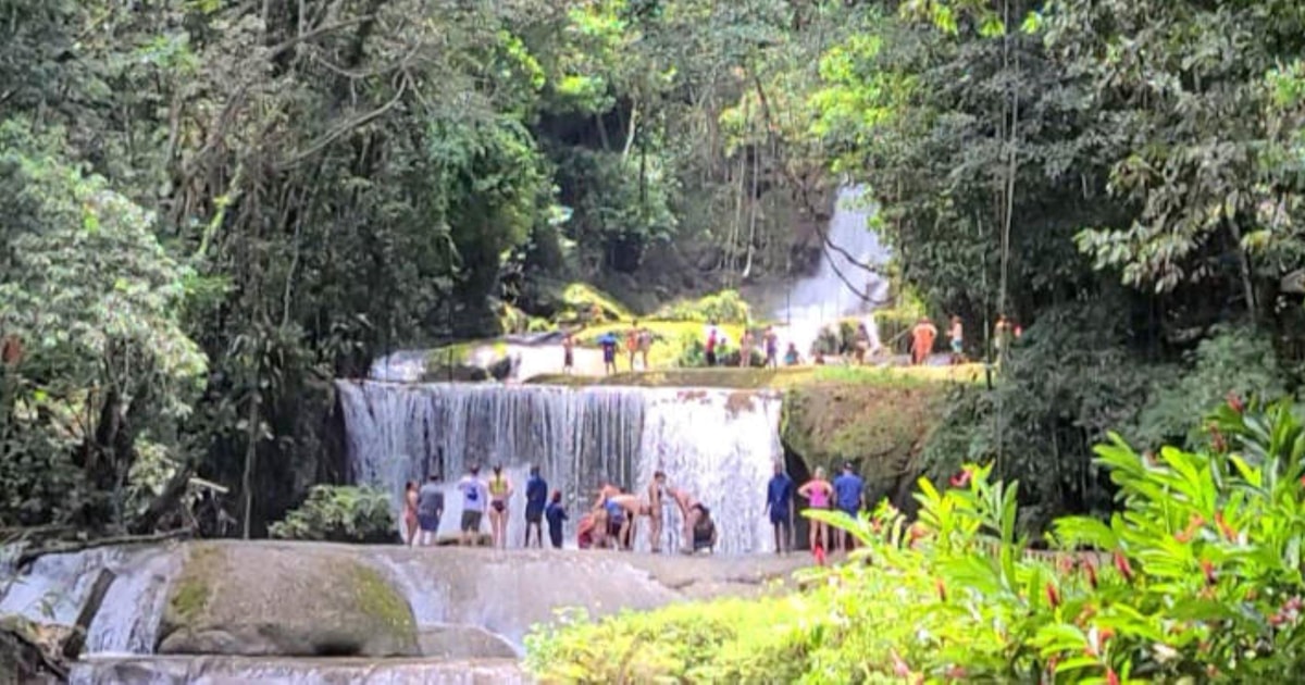 ジャマイカYS滝とブラックリバーサファリツアー | GetYourGuide