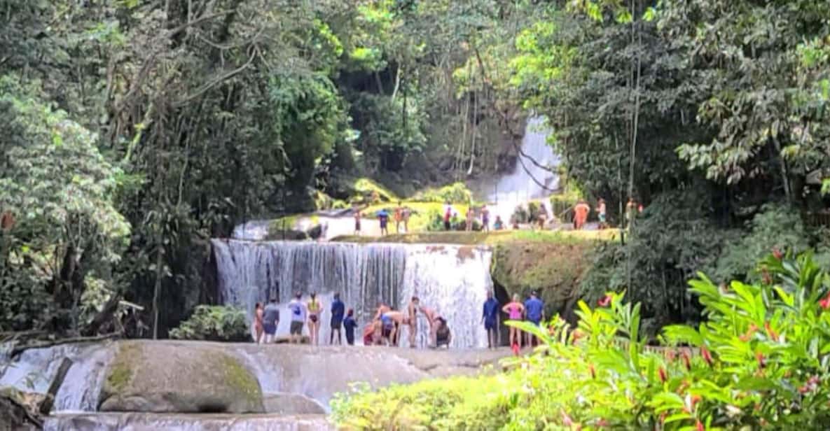Jamaica: YS Falls and Black River Safari Tour | GetYourGuide