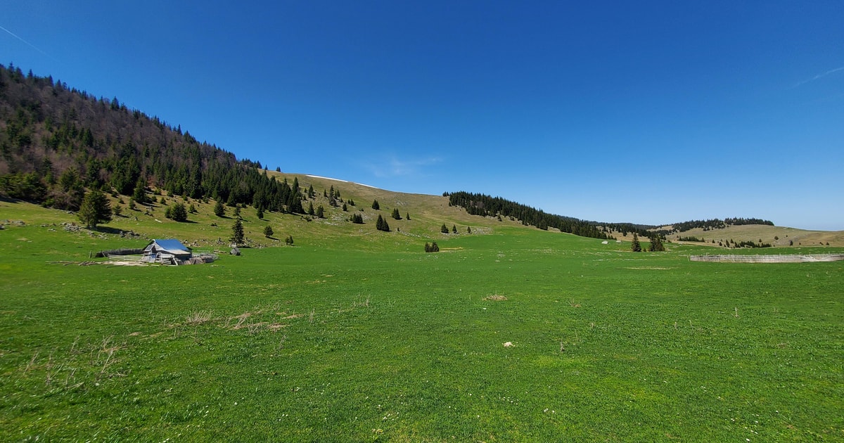 Padis: A hike or bike ride to the heart of Apuseni | GetYourGuide